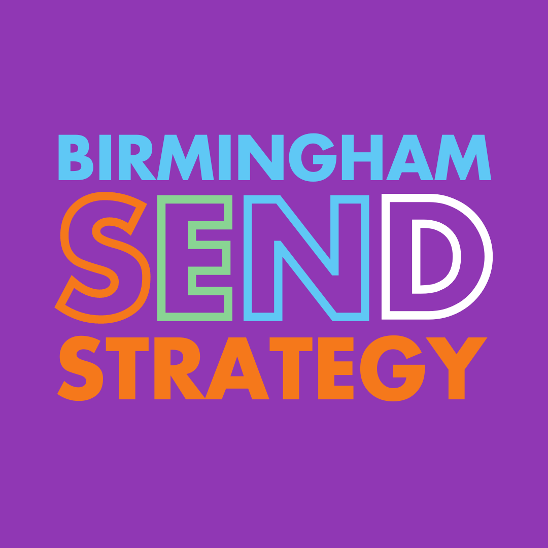 SEND and Inclusion Strategies Launch Event - Local Offer Birmingham
